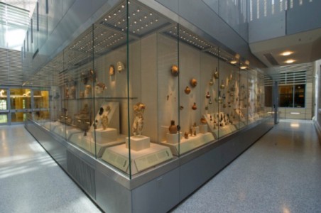 Gilman Hall Viewall Display Cases | Helmut Guenschel, Inc.